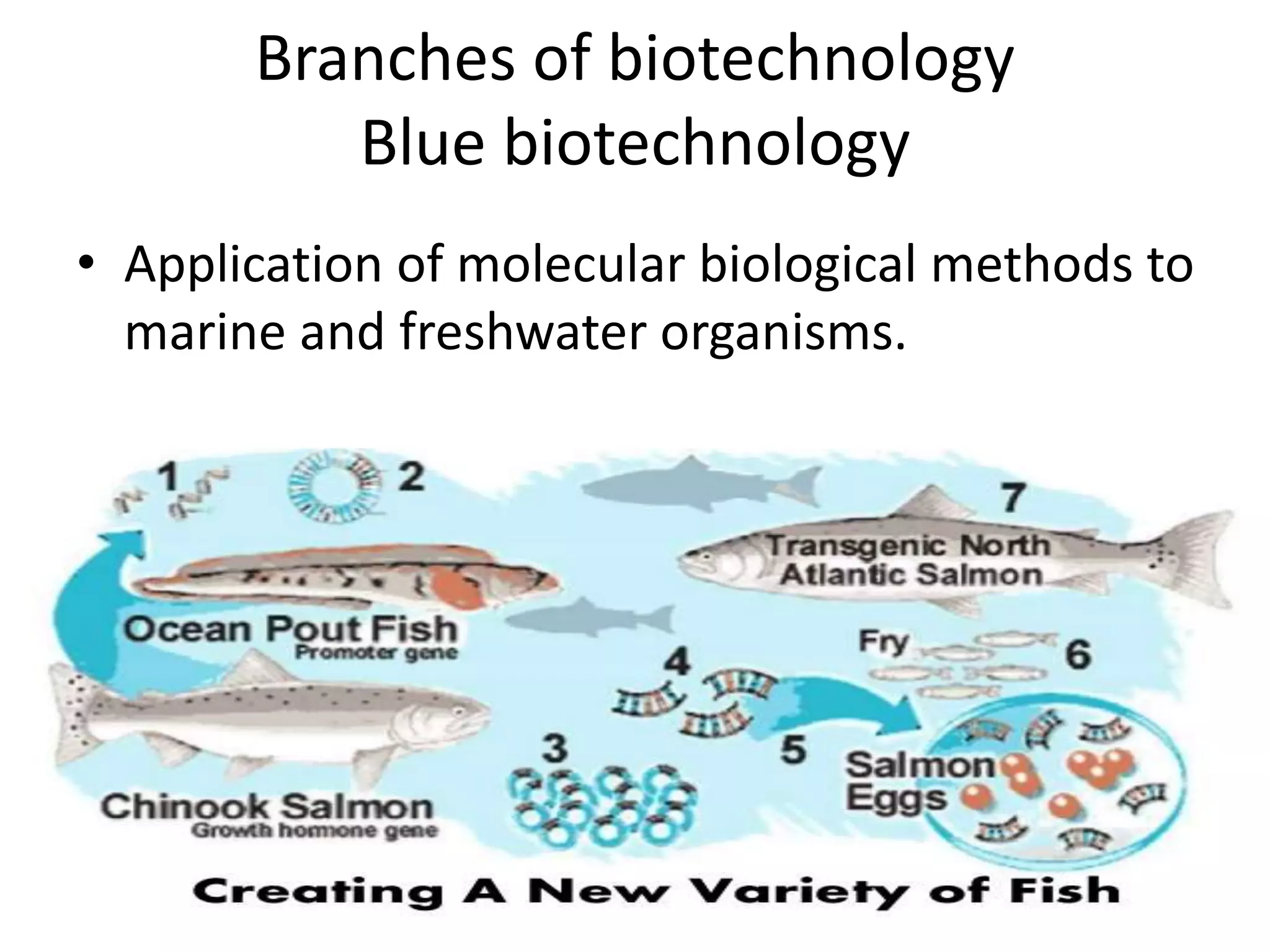 Introduction to Biotechnology | PPTX