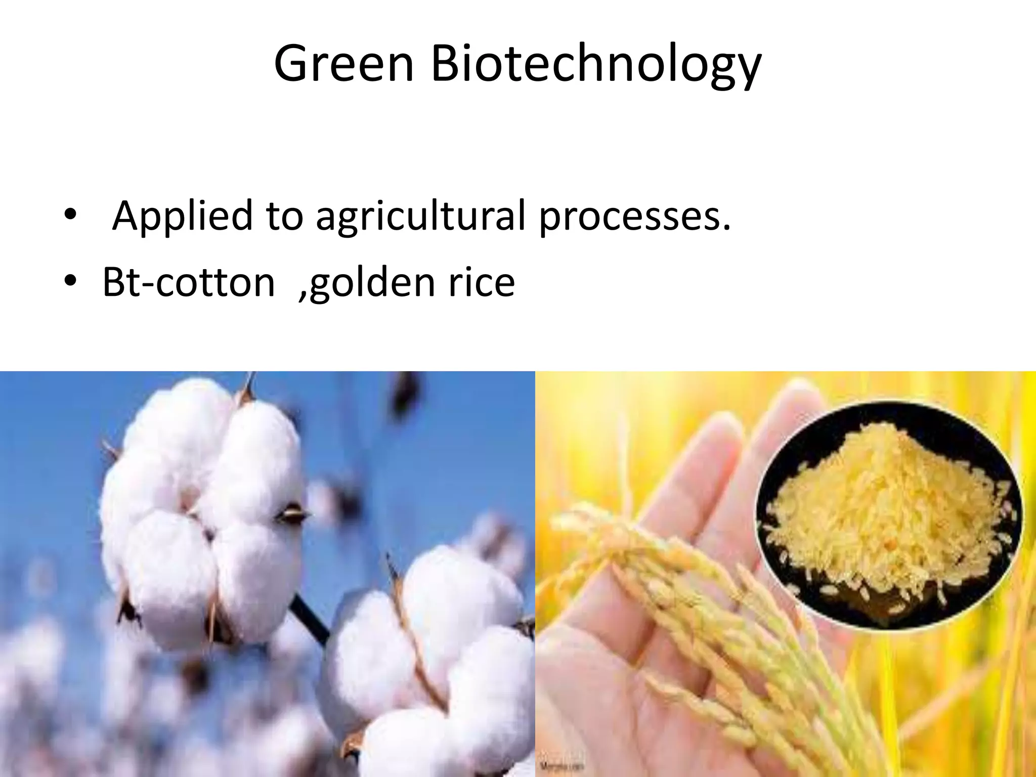 Introduction to Biotechnology | PPTX