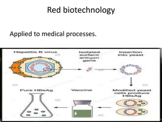 Introduction to Biotechnology | PPTX