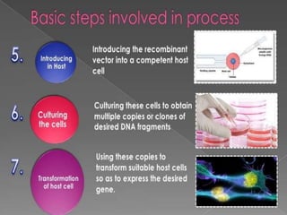 Introduction to Biotechnology | PPTX