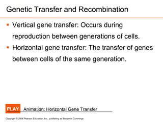 Biotech 2011-04-prokaryotic-expression | PPT | Biotech and Biomedical ...