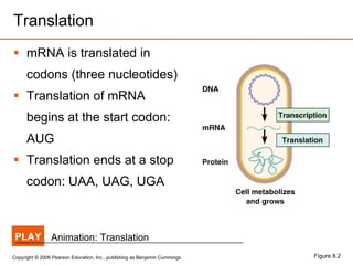 Biotech 2011-04-prokaryotic-expression | PPT