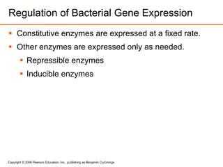 Biotech 2011-04-prokaryotic-expression | PPT | Biotech and Biomedical ...