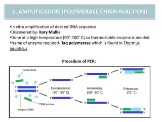 Biotechnology | PPTX | Biotech and Biomedical Industry | Industries