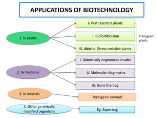 Biotechnology | PPTX | Biotech and Biomedical Industry | Industries