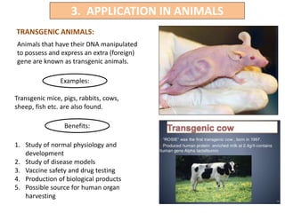 Biotechnology | PPTX