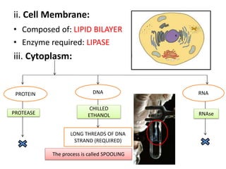 Biotechnology | PPTX