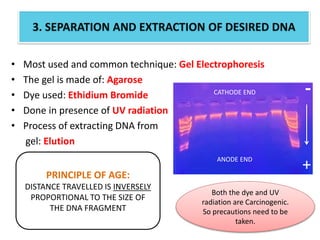 Biotechnology | PPTX