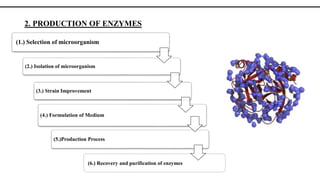 Production of enzymes | PPTX