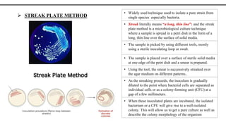 Enzymes-bacterial,industrial, production.pptx