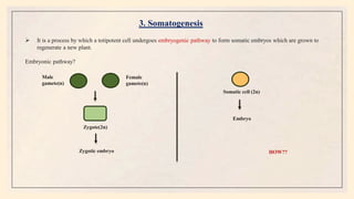 biotech-regenration of plants, pharmaceutical applications.pptx