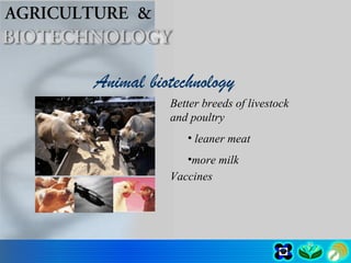 Biotechnology | PPT