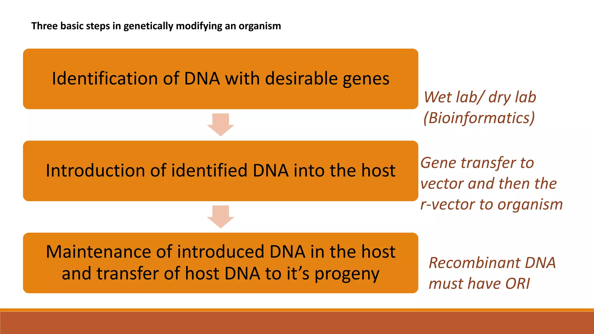 Biotechnology: Principles and Processes Class XII Chapter 11.pptx