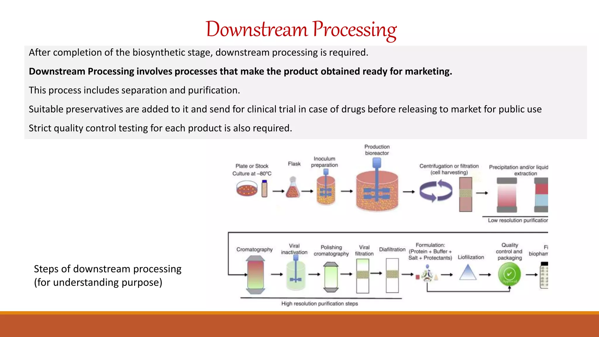 Biotechnology: Principles and Processes Class XII Chapter 11.pptx