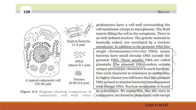 Biotechnology: Principles and Processes Class XII Chapter 11.pptx ...