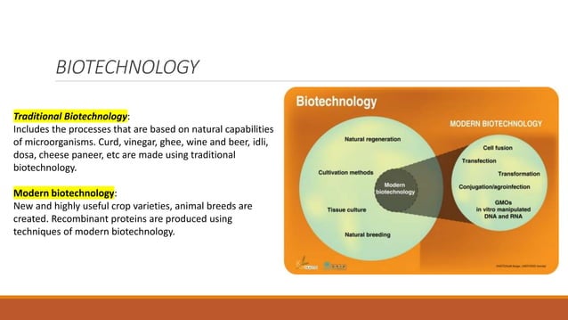 Biotechnology: Principles and Processes Class XII Chapter 11.pptx ...