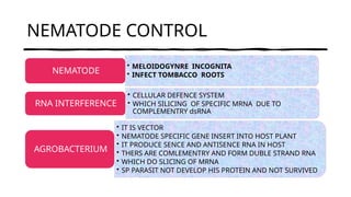 Application of biotechnology. Biology class12 | PPTX