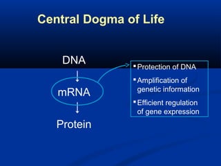 Biotech 2012 spring-2-protein_chips | PPT | Chemistry | Science