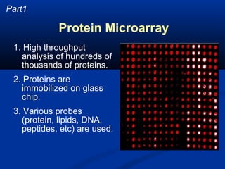 Biotech 2012 spring-2-protein_chips | PPT