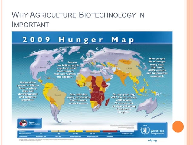 role of biotechnology in agriculture | PPTX