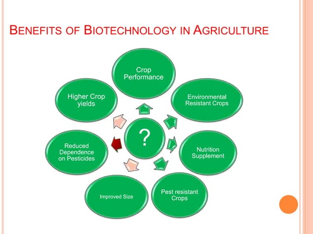 role of biotechnology in agriculture | PPT