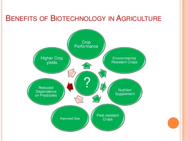 Role Of Biotechnology In Agriculture