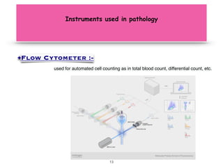 Biotechnology Pathology | PDF