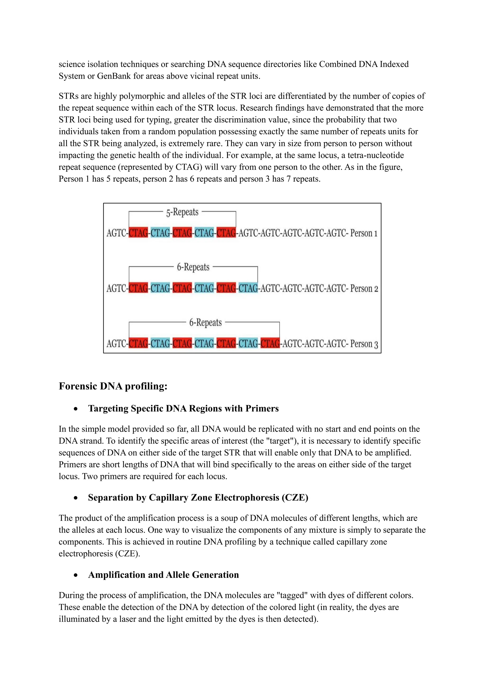 Dna Profiling And Str Typing In Forensics From Molecular Techniques To Real World Applications
