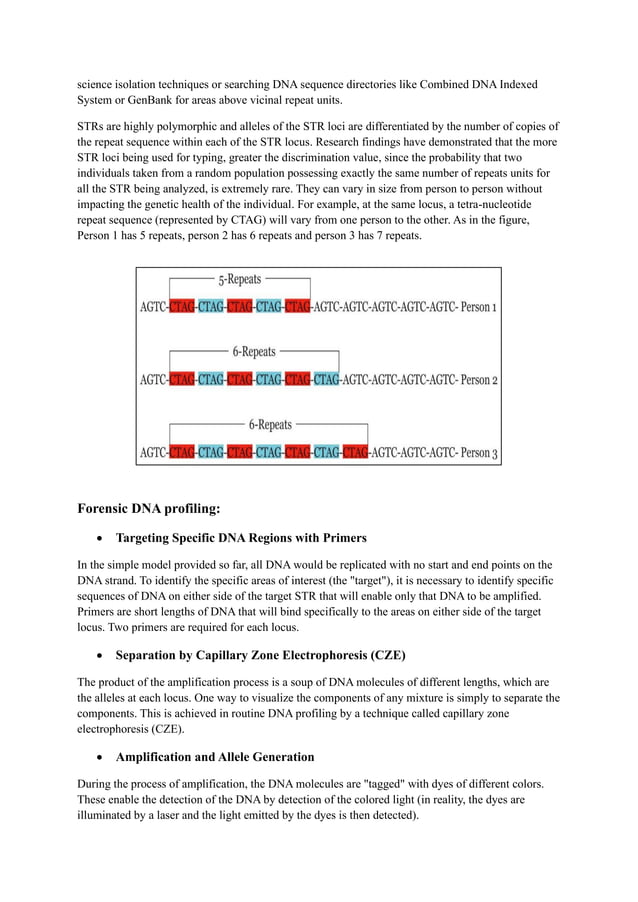 DNA Profiling and STR Typing in Forensics: From Molecular Techniques to Real-World Applications ...