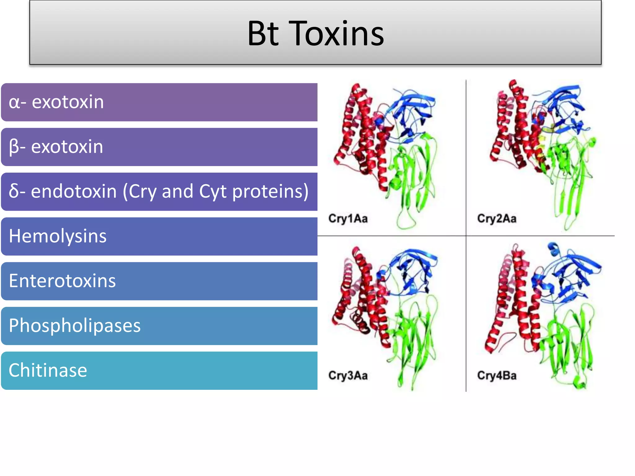 Bt Toxin as microbial insecticide | PPTX