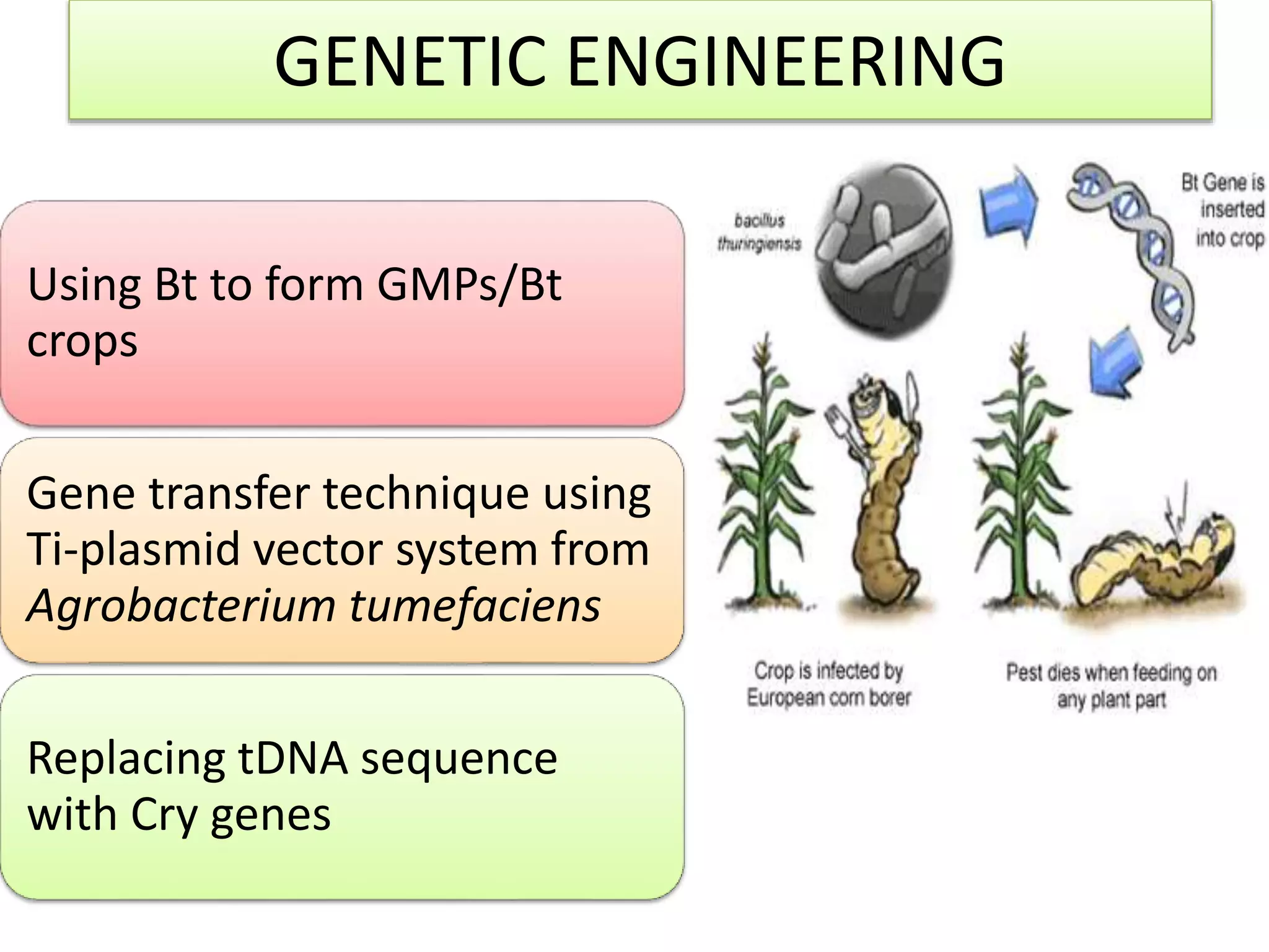 Bt Toxin as microbial insecticide | PPTX