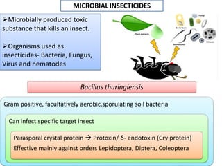 Bt Toxin as microbial insecticide | PPTX