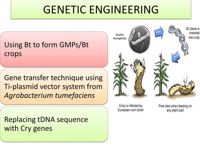 Bt Toxin as microbial insecticide | PPTX