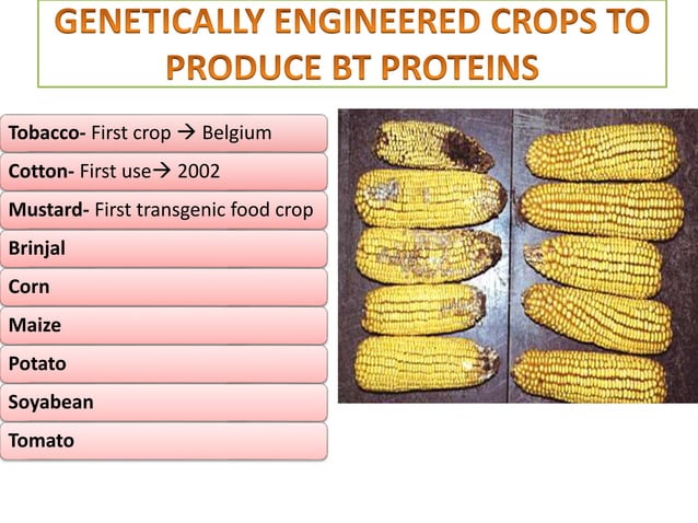 Bt Toxin as microbial insecticide | PPTX