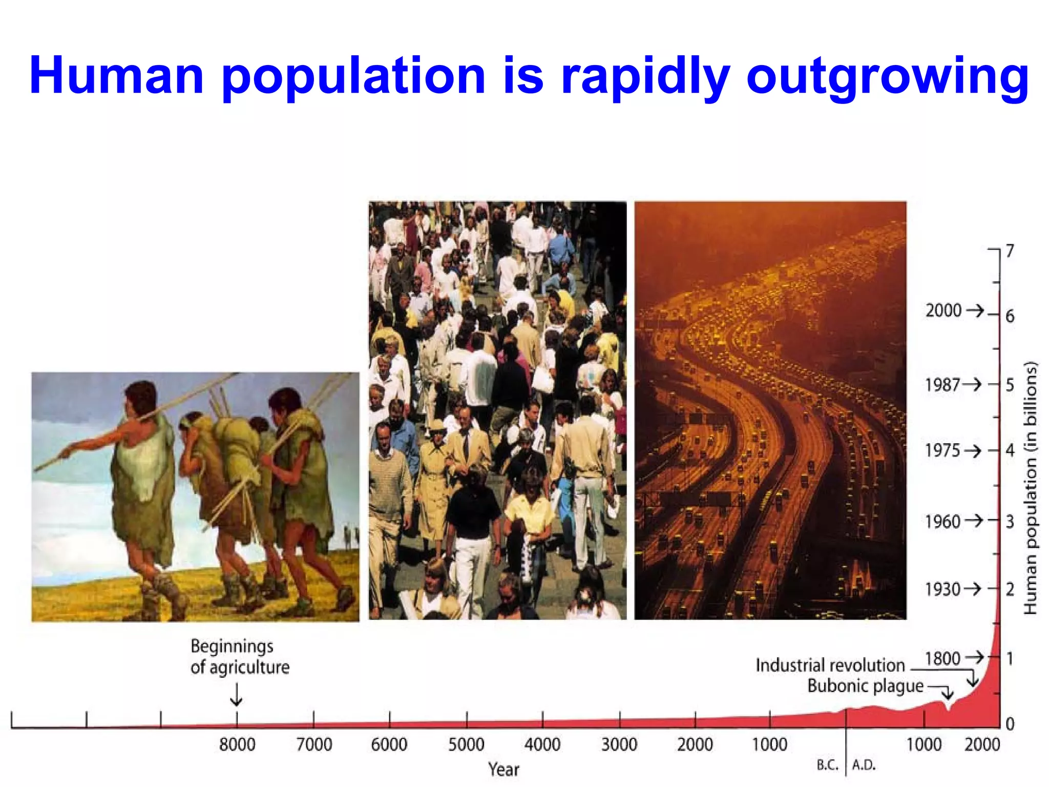 Plant Biotechnology and Food Security | PPT