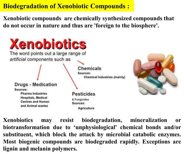Biotechnology for Clean Environment | PPT