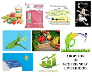 Biotechnology for Clean Environment | PPSX | Gardening | Home & Garden