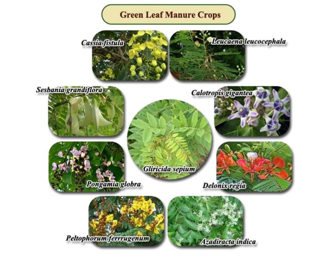 Biotechnology for Clean Environment | PPT