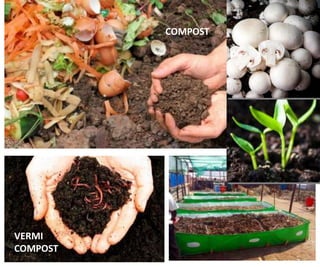 Biotechnology for Clean Environment | PPSX | Gardening | Home & Garden