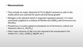 Biotechnology: steps in tissue culture | PPTX