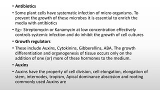 Biotechnology: steps in tissue culture | PPTX
