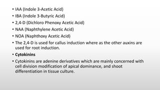 Biotechnology: steps in tissue culture | PPTX
