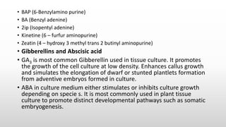 Biotechnology: steps in tissue culture | PPTX