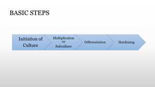 Biotechnology: steps in tissue culture | PPTX