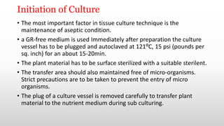 Biotechnology: steps in tissue culture | PPTX