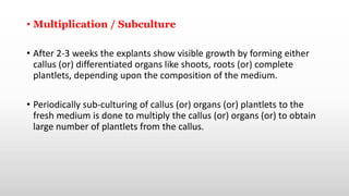 Biotechnology: steps in tissue culture | PPTX