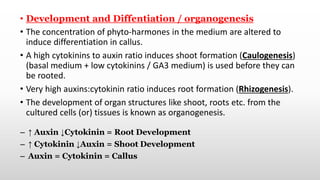 Biotechnology: steps in tissue culture | PPTX