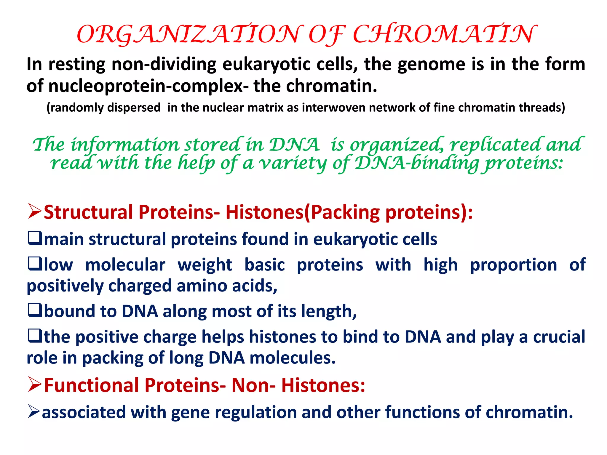 GENOME ORGANISATION IN EUKARYOTES | PPTX