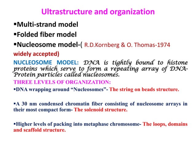 GENOME ORGANISATION IN EUKARYOTES | PPTX