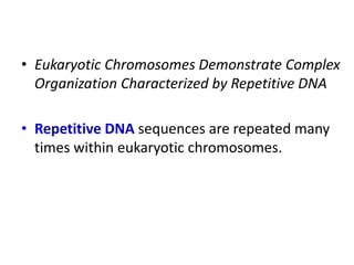 GENOME ORGANISATION IN EUKARYOTES | PPTX